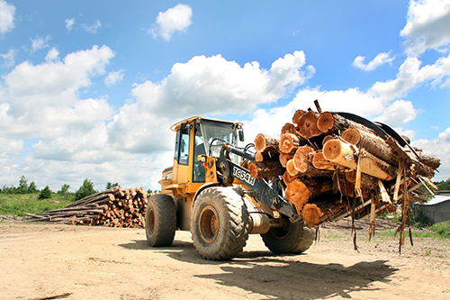 Life of a Cedar Log - Katahdin Cedar Log Homes
